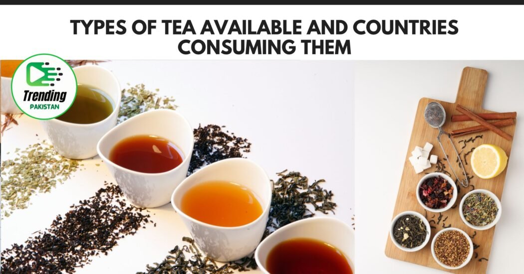 Types of Tea Available and Countries Consuming Them - Trending Pakistan