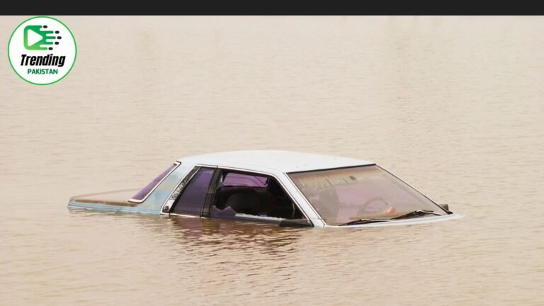 Floods in Pakistan: History, Present, and Impact on Pakistan - Trending ...