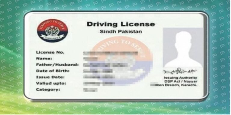Sindh Launches Online Driving Licence Service for Public Convenience ...